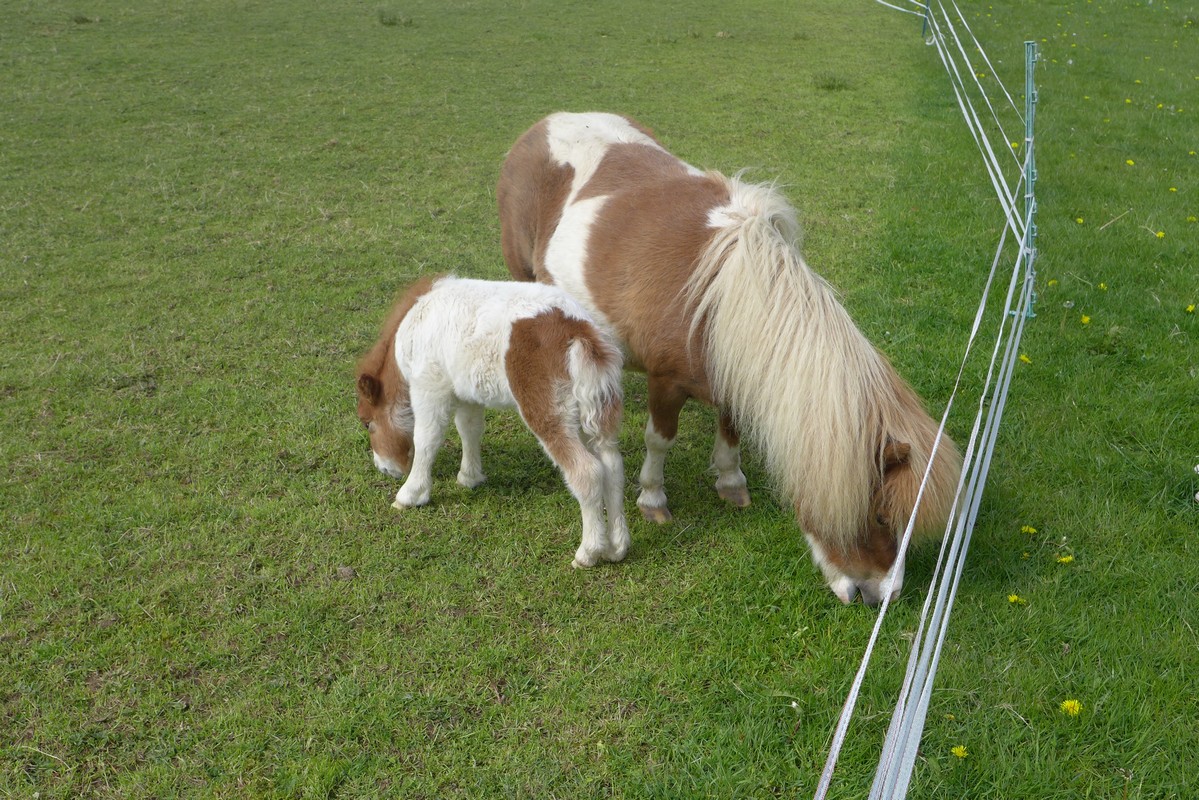 Y3 Visit to Wildside – Willand School